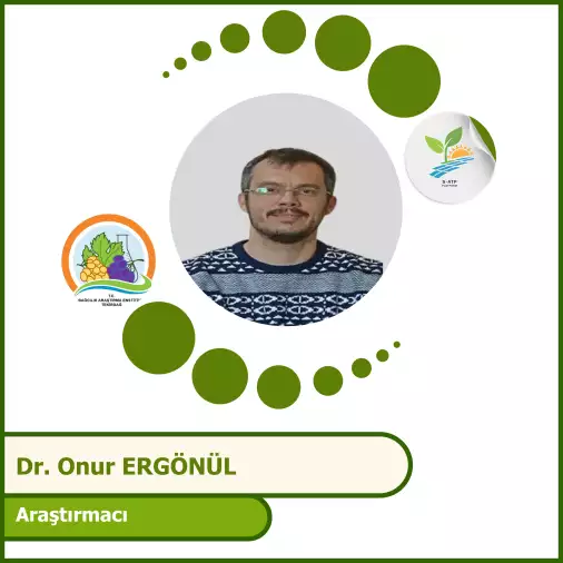 Onur Ergönül